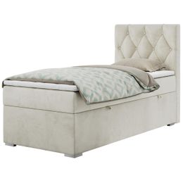 BOXBETT ALDA 90/200 Beige Velvet - H3 - Rechts Seite