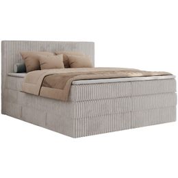 BOXSPRINGBETT TILIANO KING - 140/200 - Hellgrau Cord - H4