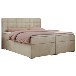 BOXBETT CARMEN 120/200 Beige Velvet - H3