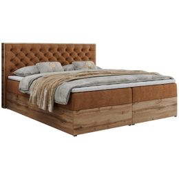 BOXBETT ALBERO 3 - 120/200 Orange Struktur - H3
