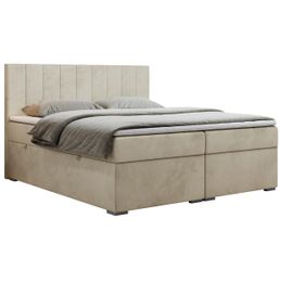 BOXBETT LOPE 120/200 - Beige Velvet - H3