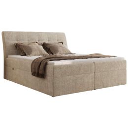 BOXBETT DAGOS 140/200 - Beige Schenille grob gewebt - H3 - Topper T25