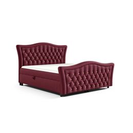Fun M&ouml;bel BOXBETT Turhan In Elisa Velvet