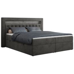 BOXBETT GOLD-6 LED 120/200 Dunkelgrau Velvet - H3