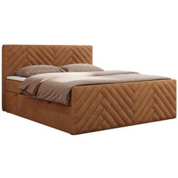 BOXBETT PARIS DUO 120/200 - Orange Struktur - H4