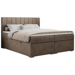 BOXBETT ALLY 120/200 Braun Velvet - H4