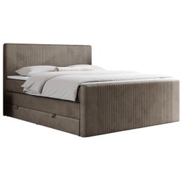 BOXSPRINGBETT KING DOREN 140/200 Braun Velvet - H4
