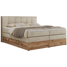 BOXSPRINGBETT ALBERO 1 KING 200/200 Beige Velvet - H4