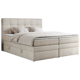 BOXSPRINGBETT ERNI KING 200/200 Beige Velvet - H4