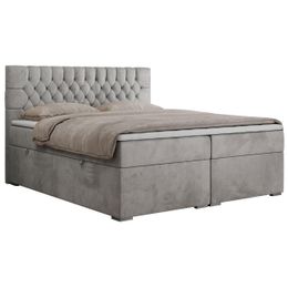 BOXBETT PERA 120/200 Hellgrau Velvet - H3