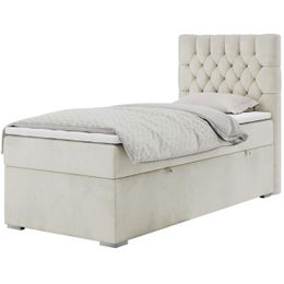 BOXBETT PERA 90/200 Beige Velvet - H4 - Rechts Seite