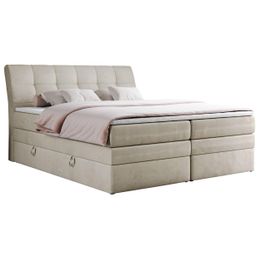 BOXSPRINGBETT GOLD-10 KING 140/200 Beige Velvet - H4