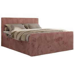 BOXBETT TILIANO DUO 140/200 - Rosa Cord - H3