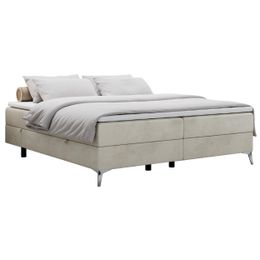 BOXBETT LESS 120/200 Beige Velvet - H3