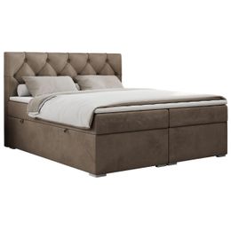 BOXBETT ALDA 120/200 Braun Velvet - H3