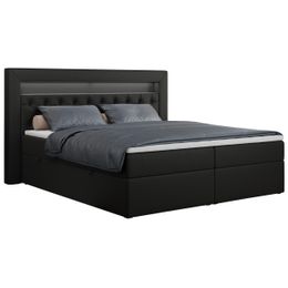 BOXBETT GOLD-6 LED 120/200 Schwarz Kunstleder - H4