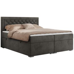 BOXBETT JASIR 120/200 - Dunkelgrau Velvet - H3