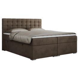 BOXBETT SUSAN 120/200 Braun Velvet - H3