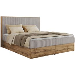 BOXBETT WOOD CLASSIC 140/200 - Hellgrau Cord - H4