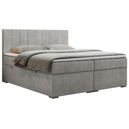 BOXBETT LOPE 120/200 - Hellgrau Strukture - H3