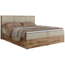 BOXBETT ALBERO 2 - 140/200 Beige Velvet - H4