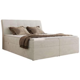 BOXBETT DAGOS 120/200 - Creme Schenille glatt - H4 - Topper Visco