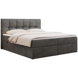 BOXBETT RICO 160/200 Dunkelgrau Velvet - H3