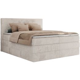 BOXSPRINGBETT TILIANO KING - 200/200 - Beige Cord - H4
