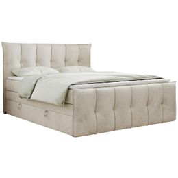 BOXSPRINGBETT PREMIUM 11 KING 180/200 Beige Velvet - H4