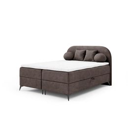 Fun M&ouml;bel BOXBETT Gorgia In Stoff Jasmin