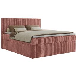 BOXBETT TILIANO 200/200 - Rosa Cord - H3