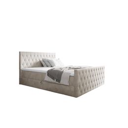Fun M&ouml;bel BOXBETT Asher In &uuml;berl&auml;nge