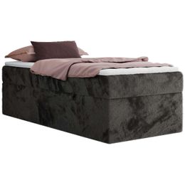 BOXBETT ZERO 90/200 - Dunkelgrau Pl&uuml;sch - H3 - Topper Visco