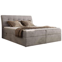 BOXBETT DAGOS 120/200 - Hellgrau Velvet - H3 - Topper Visco