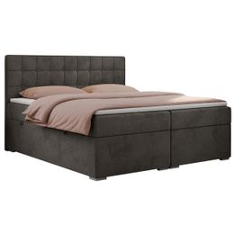 BOXBETT CARMEN 120/200 Dunkelgrau Velvet - H3