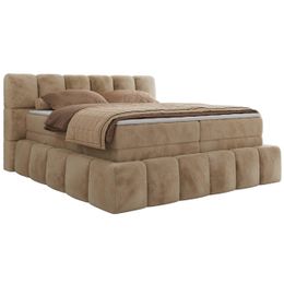 BOXSPRINGBETT NIRA KING 200/200 Beige Pl&uuml;sch - H3
