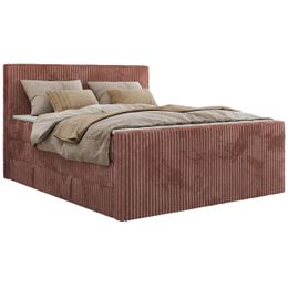 BOXSPRINGBETT TILIANO KING DUO 200/200 - Rosa Cord - H3