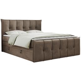 BOXSPRINGBETT PREMIUM 11 KING 200/200 Braun Velvet - H3