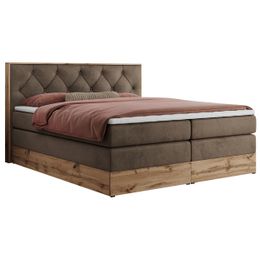 BOXSPRINGBETT VENETO KING 200/200 Braun Velvet - H4