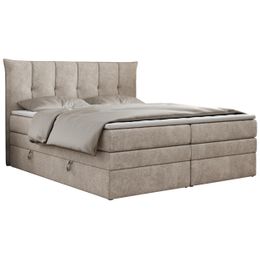 BOXSPRINGBETT PREMIUM 10 KING 200/200 Beige Struktur - H4