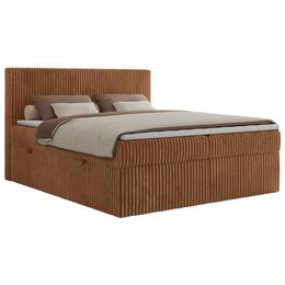 BOXBETT TILIANO 140/200 - Orange Cord - H3