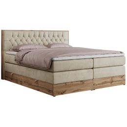 BOXSPRINGBETT AMORE KING 200/200 Beige Velvet - H3