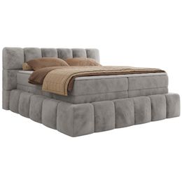 BOXSPRINGBETT NIRA KING 140/200 Hellgrau Pl&uuml;sch - H4