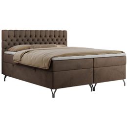 BOXBETT GRIMALDI 120/200 Braun Velvet - H3