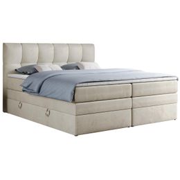 BOXSPRINGBETT ALVIN KING 200/200 Beige Velvet - H4