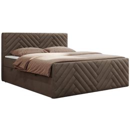 BOXBETT PARIS DUO 120/200 - Braun Velvet - H3