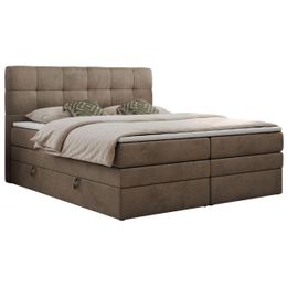BOXSPRINGBETT LUKA KING 160/200 Braun Velvet - H3