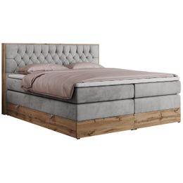 BOXSPRINGBETT AMORE KING 200/200 Hellgrau Velvet - H4