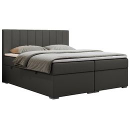 BOXBETT LOPE 180/200 - Dunkelgrau Kunstleder - H3