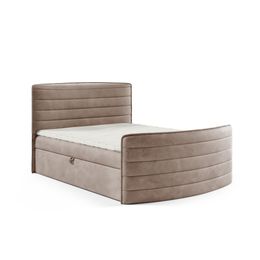 Fun M&ouml;bel BOXBETT Ambra In Elisa Velvet